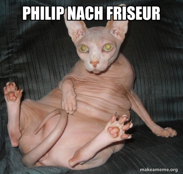 Philip nach Friseur - Hairless Cat Meme Generator