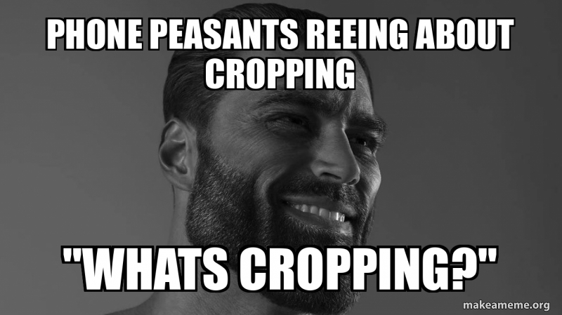 Phone peasants reeing about cropping "Whats cropping?" Meme Generator