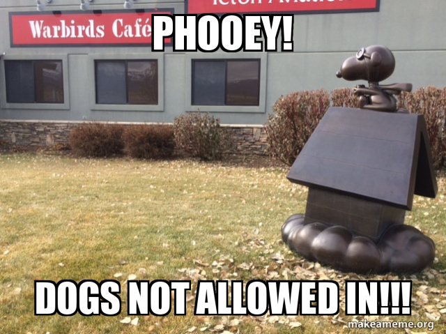 Phooey! Dogs not allowed in!!! Meme Generator