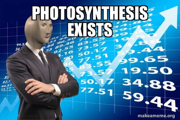photosynthesis exists - Stonks Only Go Up Meme Generator
