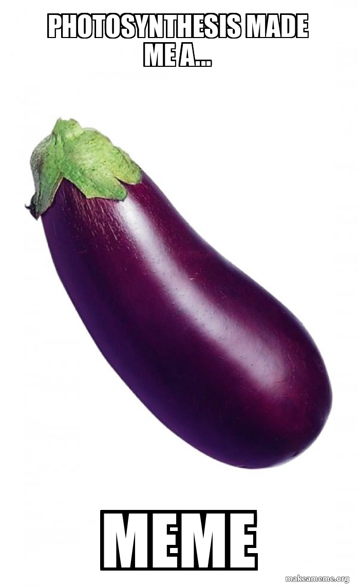 Photosynthesis made me a... MEME - Eggplant Meme Generator