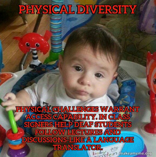 PHYSICAL DIVERSITY PHYSICAL CHALLENGES WARRANT ACCESS CAPABILITY. IN ...
