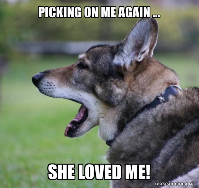 PICKING ON ME AGAIN ... SHE LOVED ME! Meme Generator