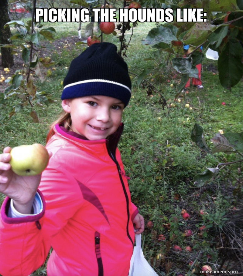 picking THE hounds like: Meme Generator