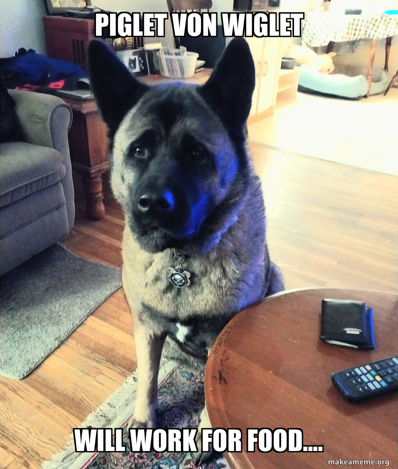 Piglet von wiglet Will work for food.... Meme Generator