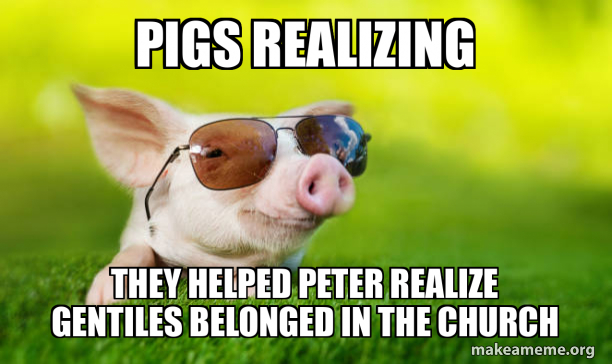 Pigs Realizing They Helped Peter Realize Gentiles Belonged In the ...
