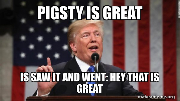 pigsty is great is saw it and went: hey that is great - Donald Trump ...