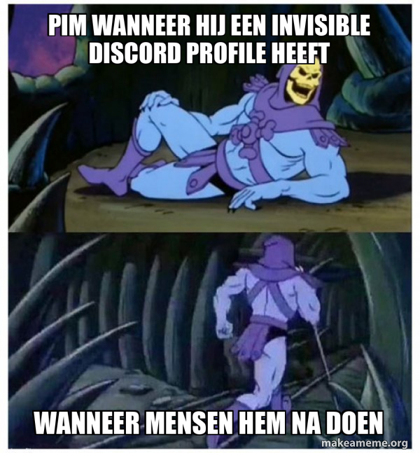 pim wanneer hij een invisible discord profile heeft wanneer mensen hem ...