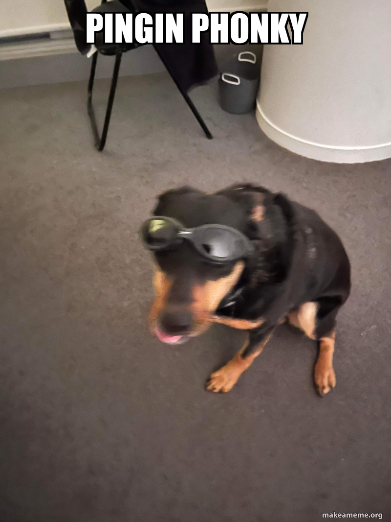 Pingin phonky Meme Generator