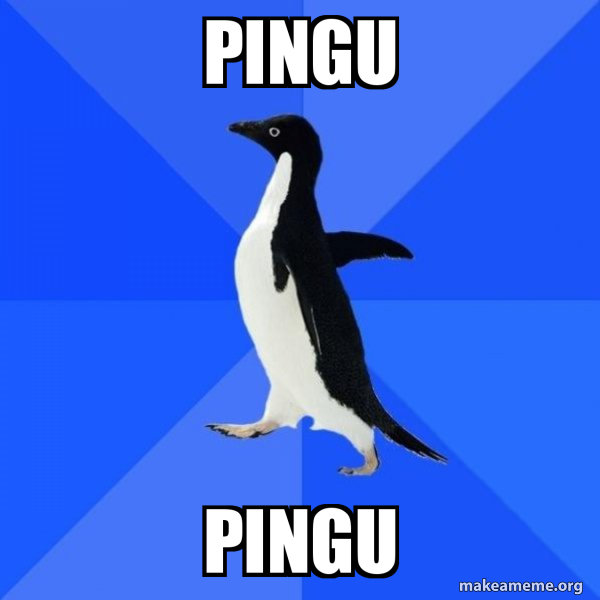 pingu pingu - Socially Awkward Penguin Meme Generator