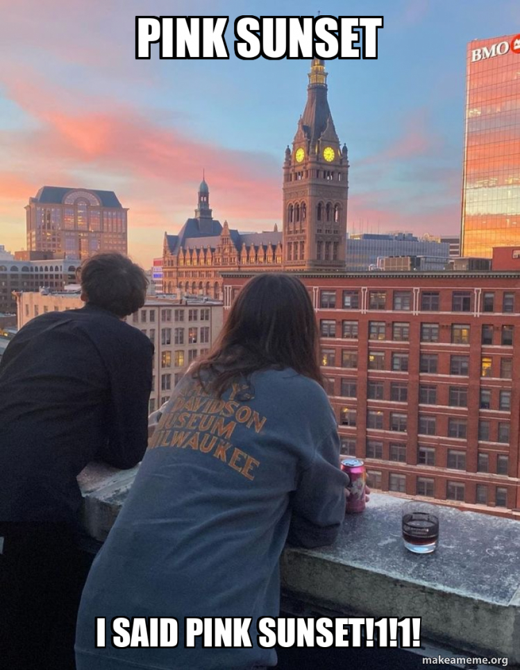 PINK SUNSET I SAID PINK SUNSET!1!1! Meme Generator