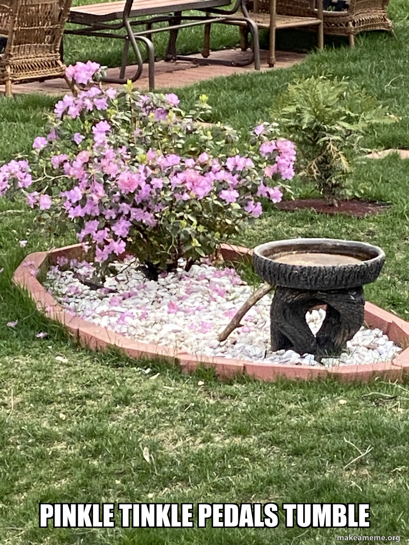 Pinkle tinkle pedals tumble Meme Generator