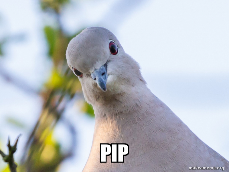 pip Meme Generator
