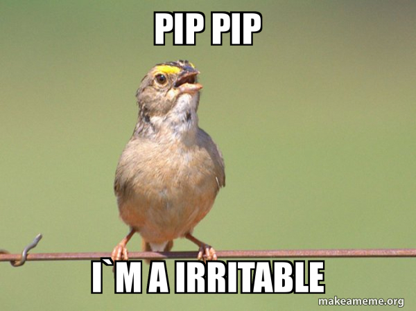 Pip Pip I m A Irritable Common Opinion Sparrow Meme Generator Pip Pip I m A Irritable Common Opinion Sparrow Meme Generator