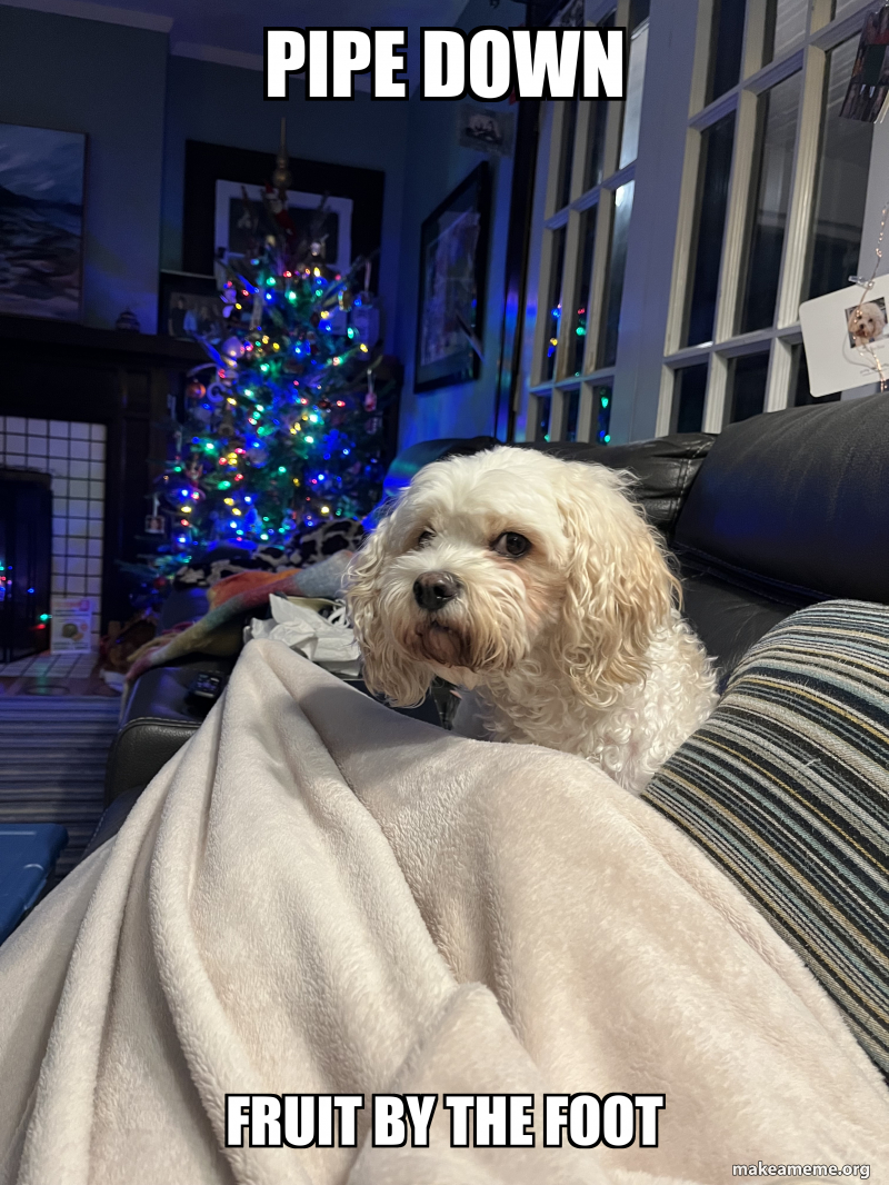 Pipe down Fruit by the foot Meme Generator