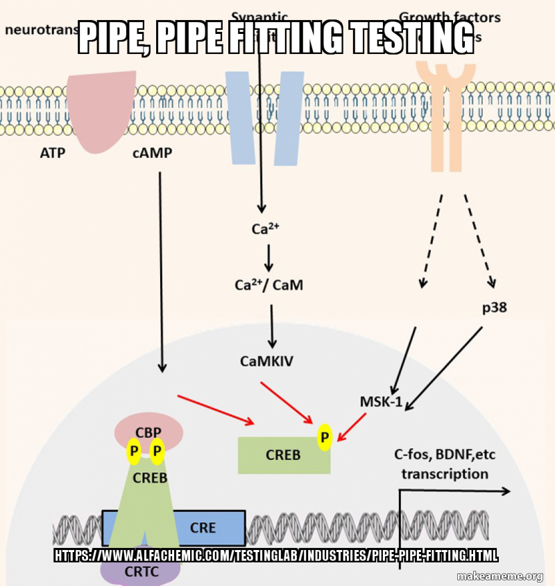 Pipe, Pipe Fitting Testing https://www.alfachemic.com/testinglab ...