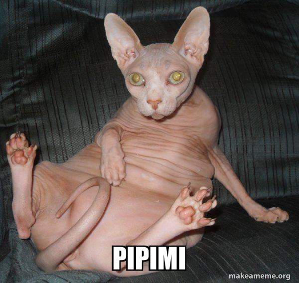pipimi - Hairless Cat Meme Generator