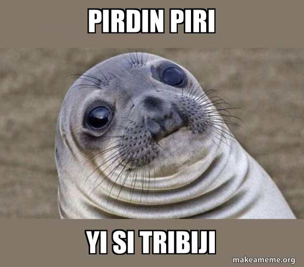 pirdin piri yi si tribiji - Squeamish Seal Meme Generator
