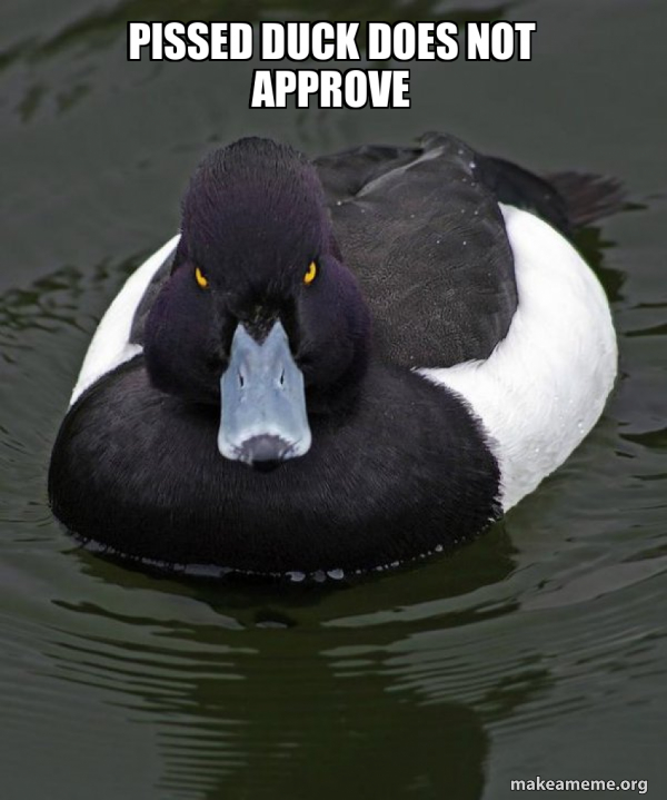 pissed duck does not approve - Revenge Duck ( Angry Advice Duck ) Meme ...