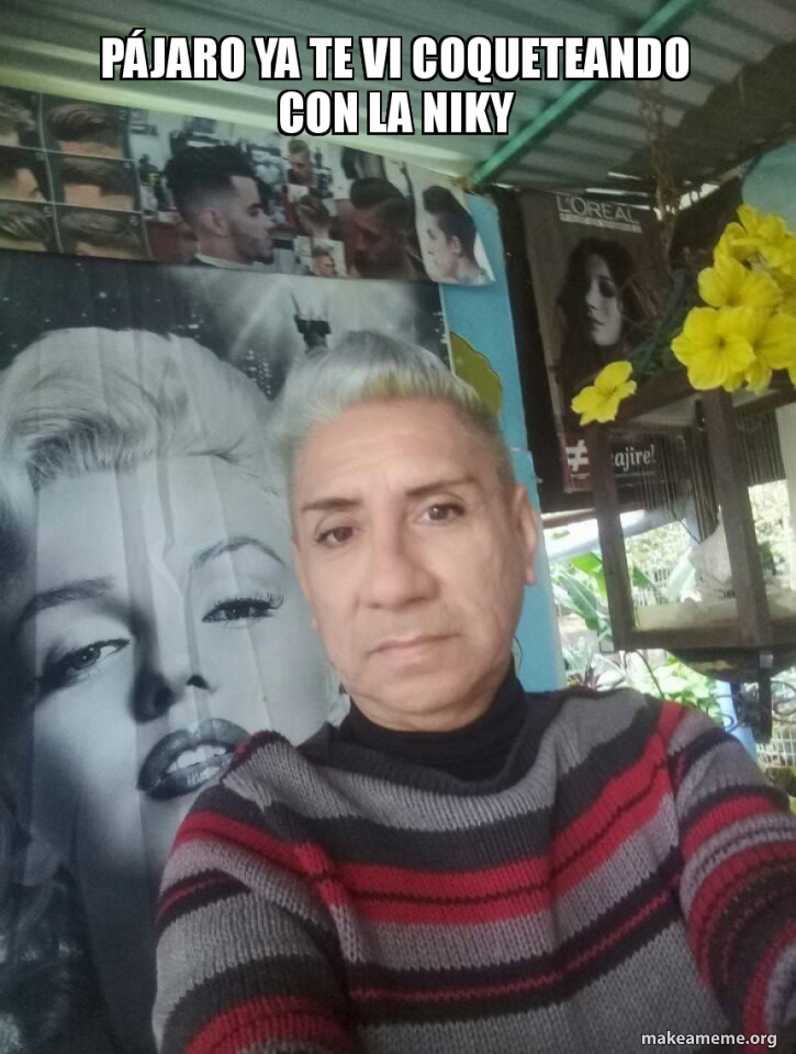 PÃ JARO YA TE VI COQUETEANDO CON LA NIKY Meme Generator