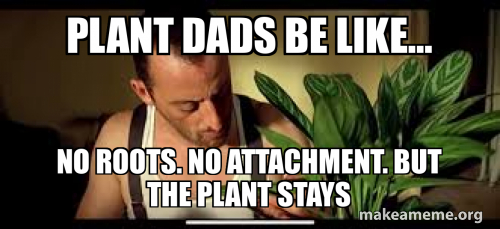 Plant dads be like... no roots. no attachment. But the plant stays Meme ...