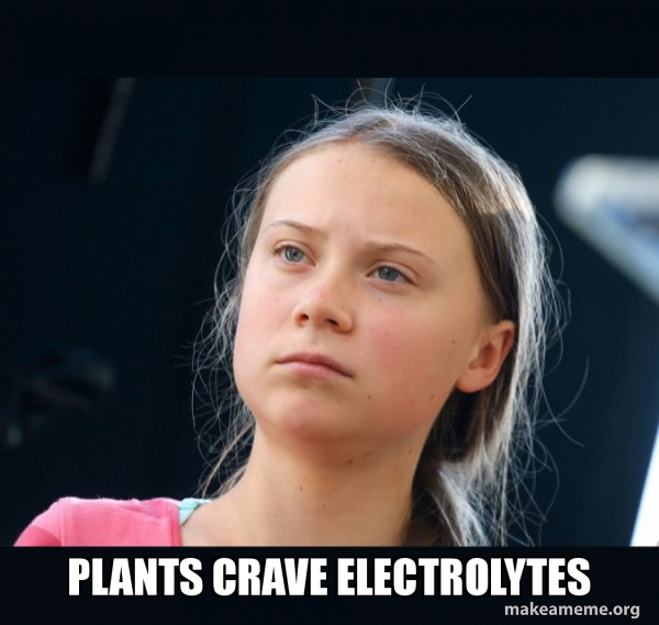 plants crave electrolytes - Greta Thunberg Meme Generator