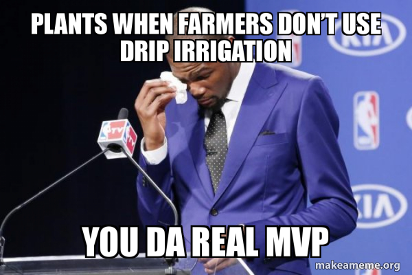 plants when farmers donâ€™t use drip irrigation You Da Real MVP - Kevin ...
