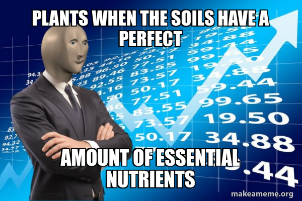 Plants when the soils have a perfect amount of essential nutrients ...