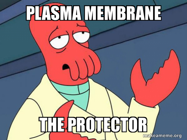 Plasma Membrane The protector - Tricky Zoidberg Meme Generator