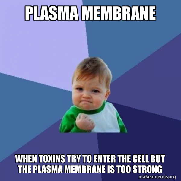 plasma membrane when toxins try to enter the cell but the plasma membrane is too strong ...