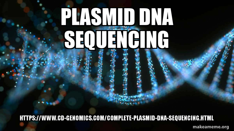 plasmid dna sequencing https://www.cd-genomics.com/complete-plasmid-dna ...