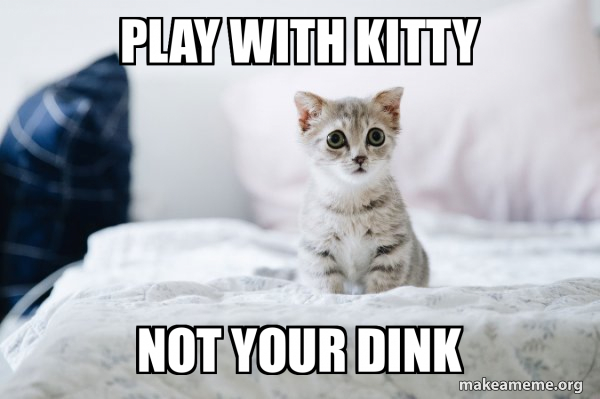 play with kitty not your dink - Cute Kitten Meme Generator