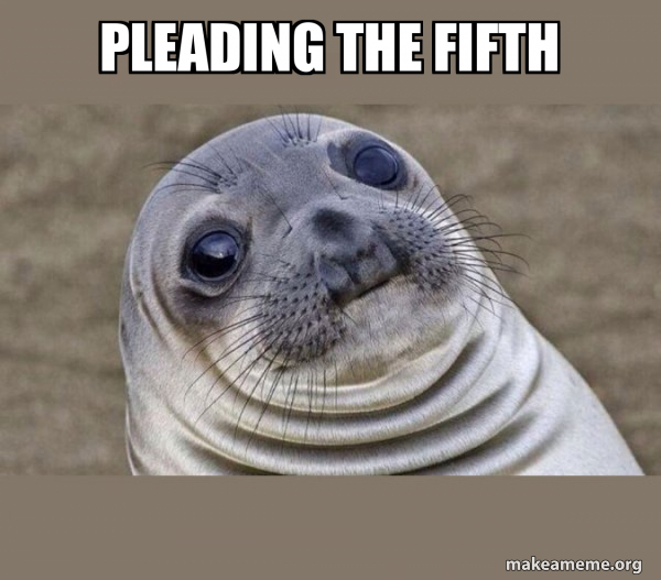 pleading the fifth - Squeamish Seal Meme Generator