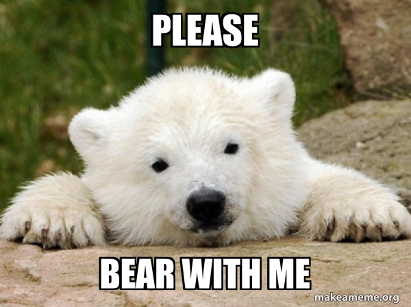 Please Bear with me - Popular Opinion Bear Meme Generator