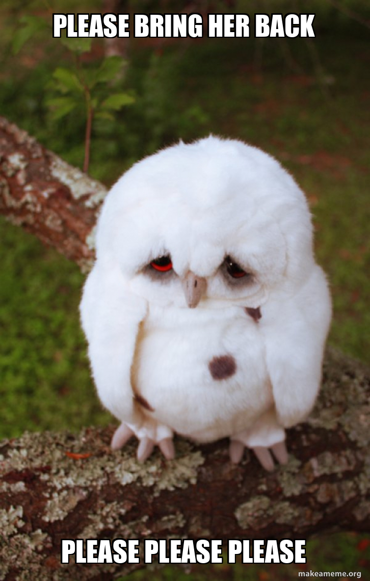 Please bring her back Please please please - Sad Owl Meme Generator