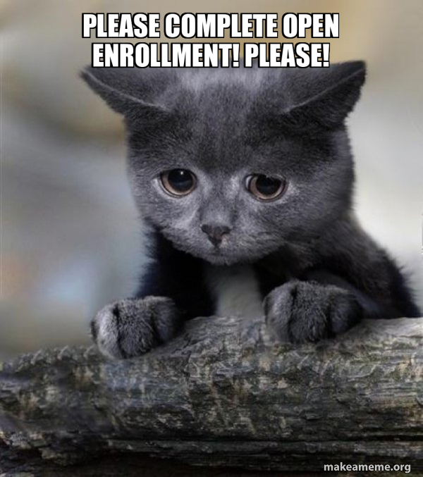 Please complete open enrollment! Please! - Confession Cat Meme Generator