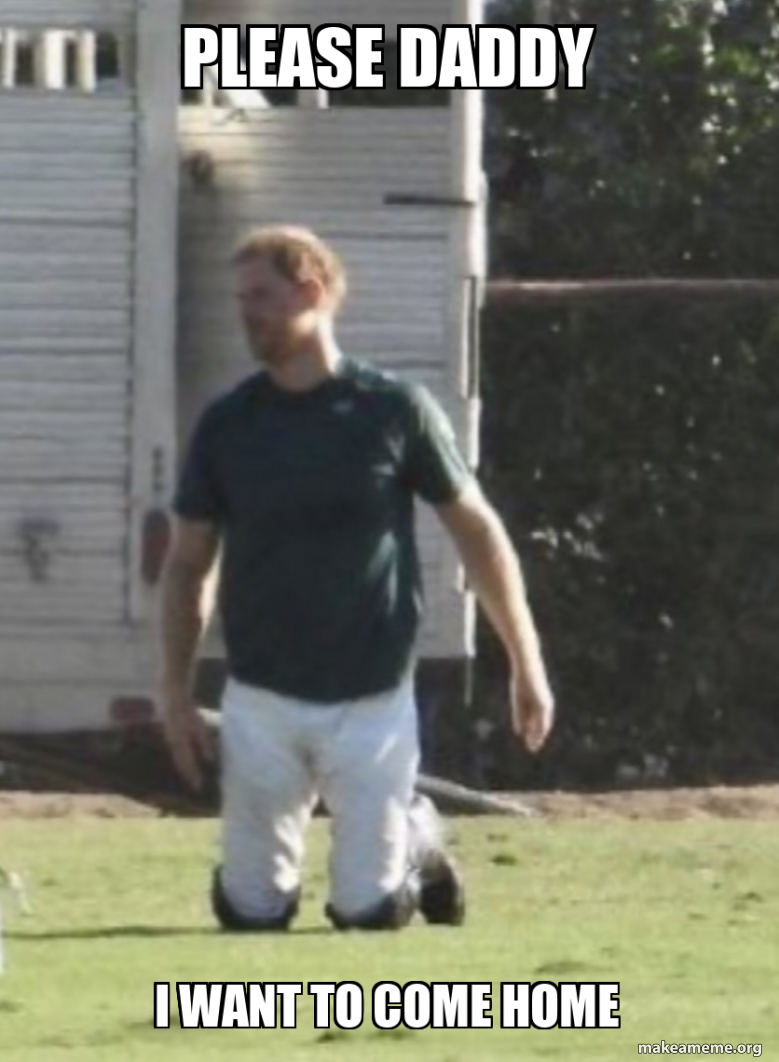 Please Daddy I want to come home Meme Generator