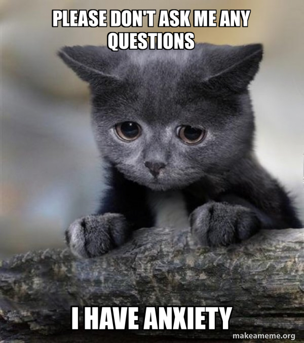 PLEASE DON'T ASK ME ANY QUESTIONS I HAVE ANXIETY - Confession Cat Meme ...