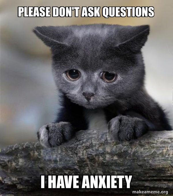 Please don't ask questions I have anxiety - Confession Cat Meme Generator