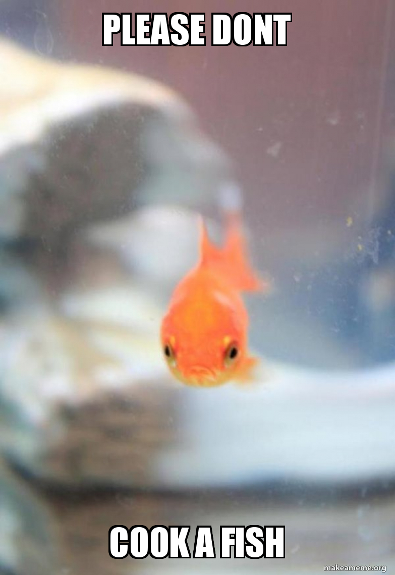 please dont cook a fish - Grumpy Fish Meme Generator