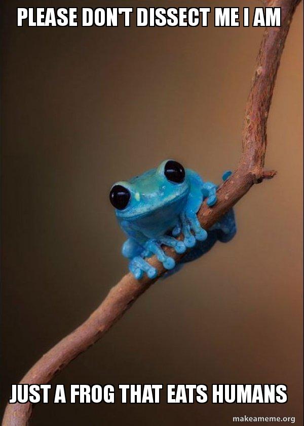Frog Dissection Memes Cute Pudgy Frog Showing Dessert Stomach Diagram