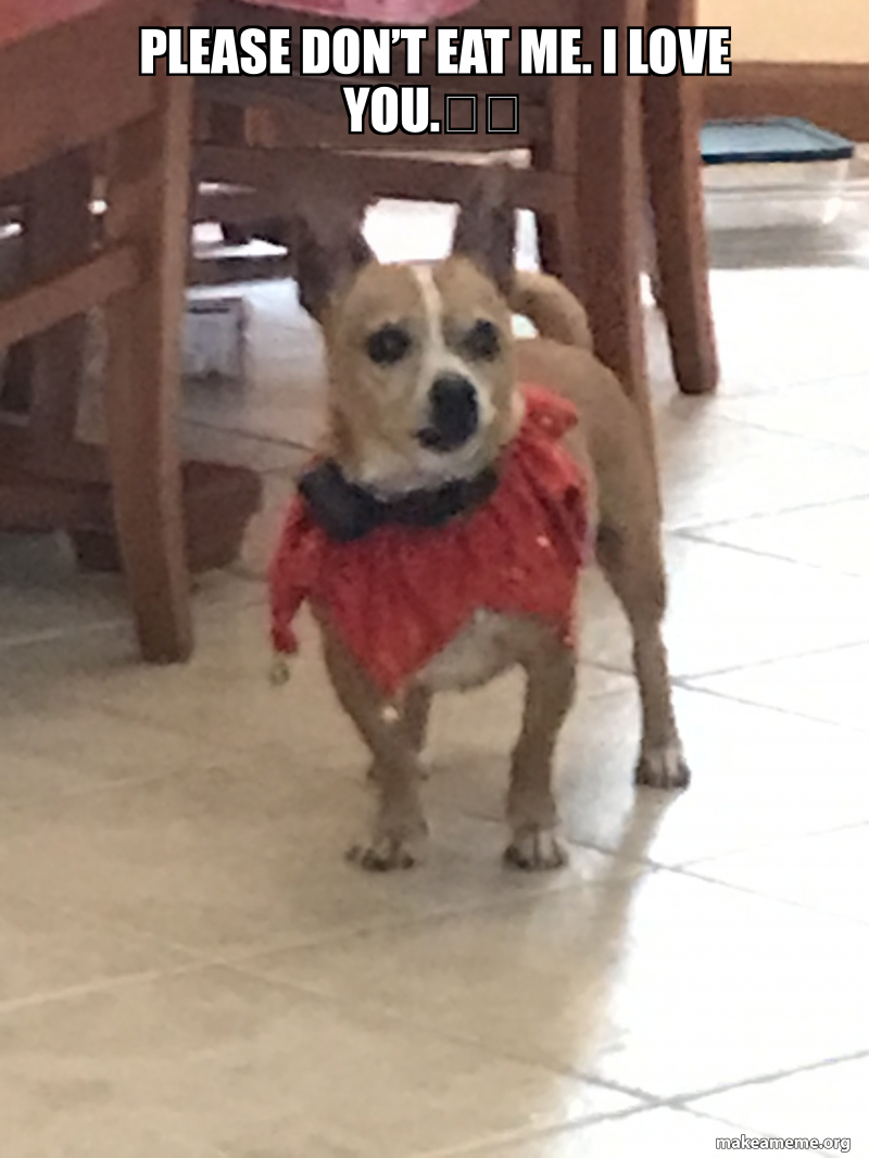 Please donâ€™t eat me. I love You.â ¤ï¸ Meme Generator