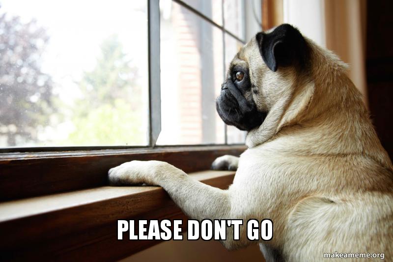 Please don't go Meme Generator