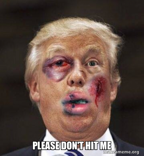 please don't hit me Meme Generator