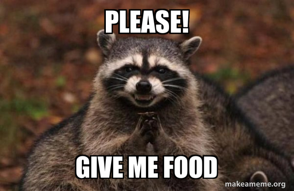 Please! Give me food - Evil Plotting Raccoon Meme Generator