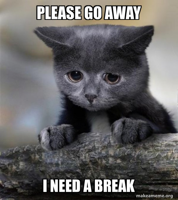 Please go away I need a break - Confession Cat Meme Generator