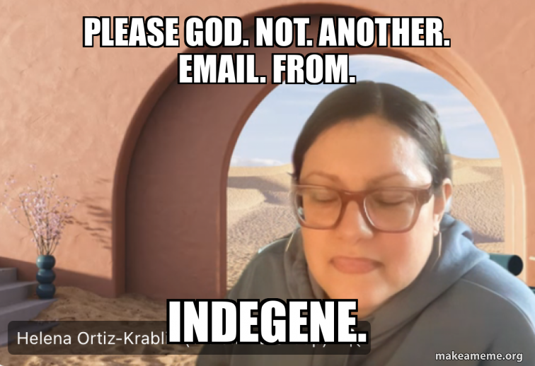 please god. not. another. email. from. indegene. Meme Generator