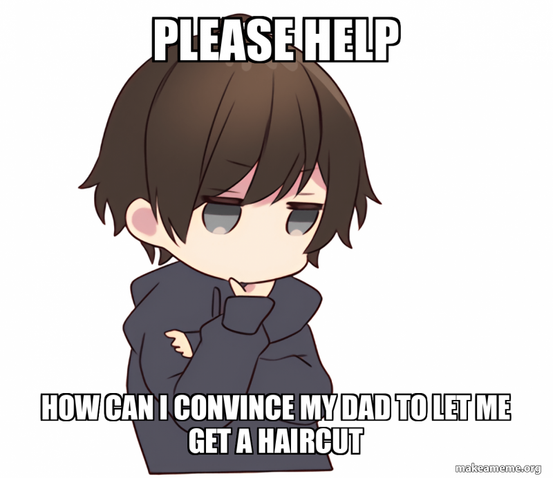 please help how can i convince my dad to let me get a haircut Meme ...