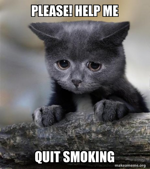 Please! help me Quit smoking - Confession Cat Meme Generator