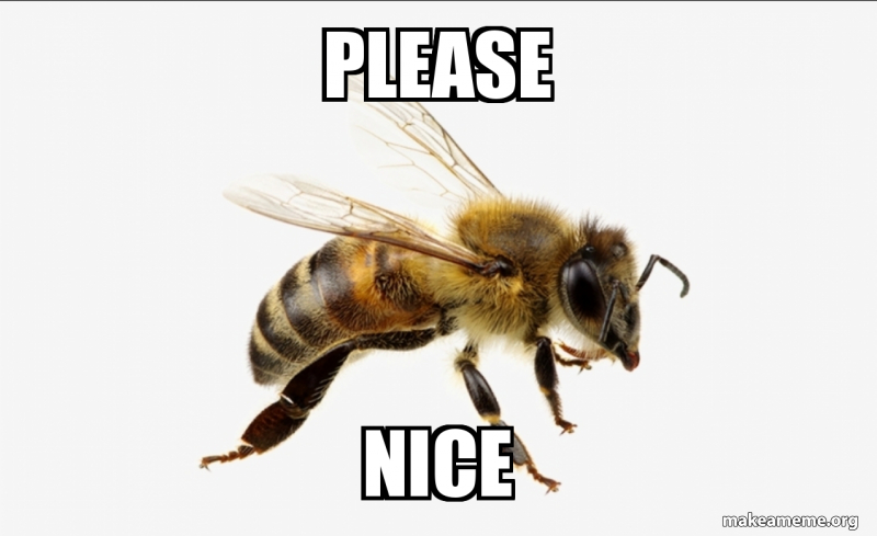 Please NICE Meme Generator